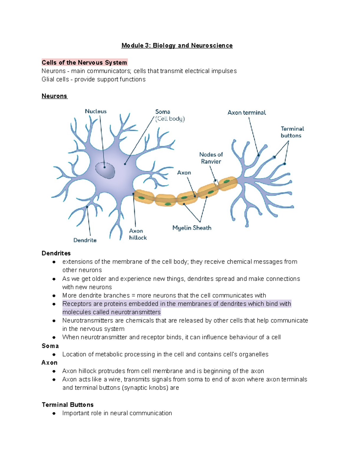 Psychology Module 3 - PSY1101 - uOttawa - Studocu