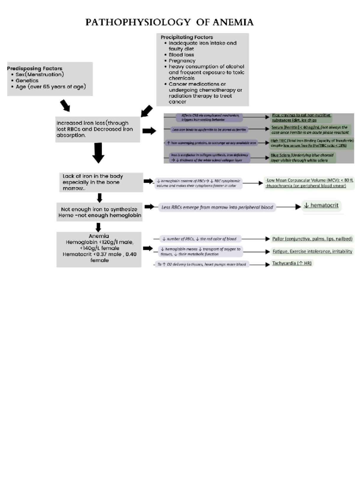 Pathophysiology Anemia - Medical Surgical Nursing - Studocu