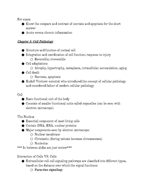 Pathology Exam 1 - exam 1 study guide - Apoptosis versus necrosis ...