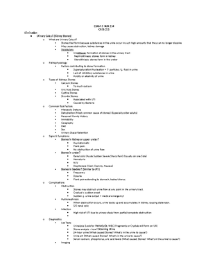 Nclex Study PLAN Template - PDF - NCLEX EXAM STUDY PLAN TEMPLATE ...