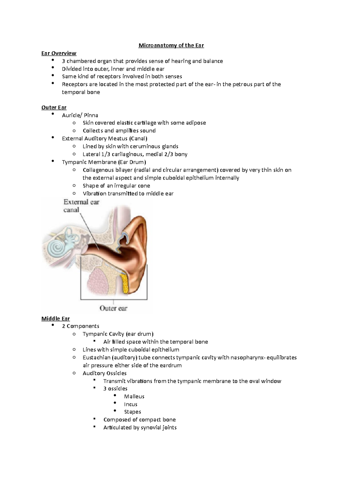 Microanatomy of the Ear - Studocu