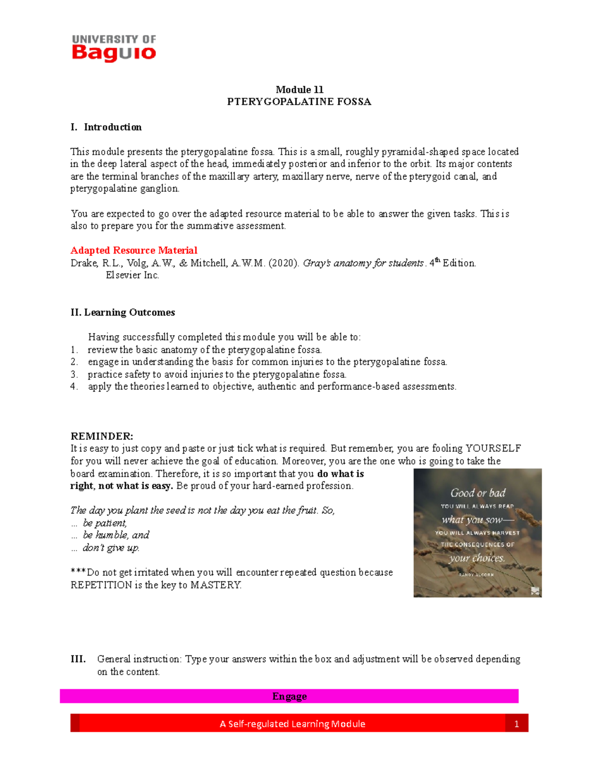 11 - lecture notes and activities - Module 11 PTERYGOPALATINE FOSSA I ...