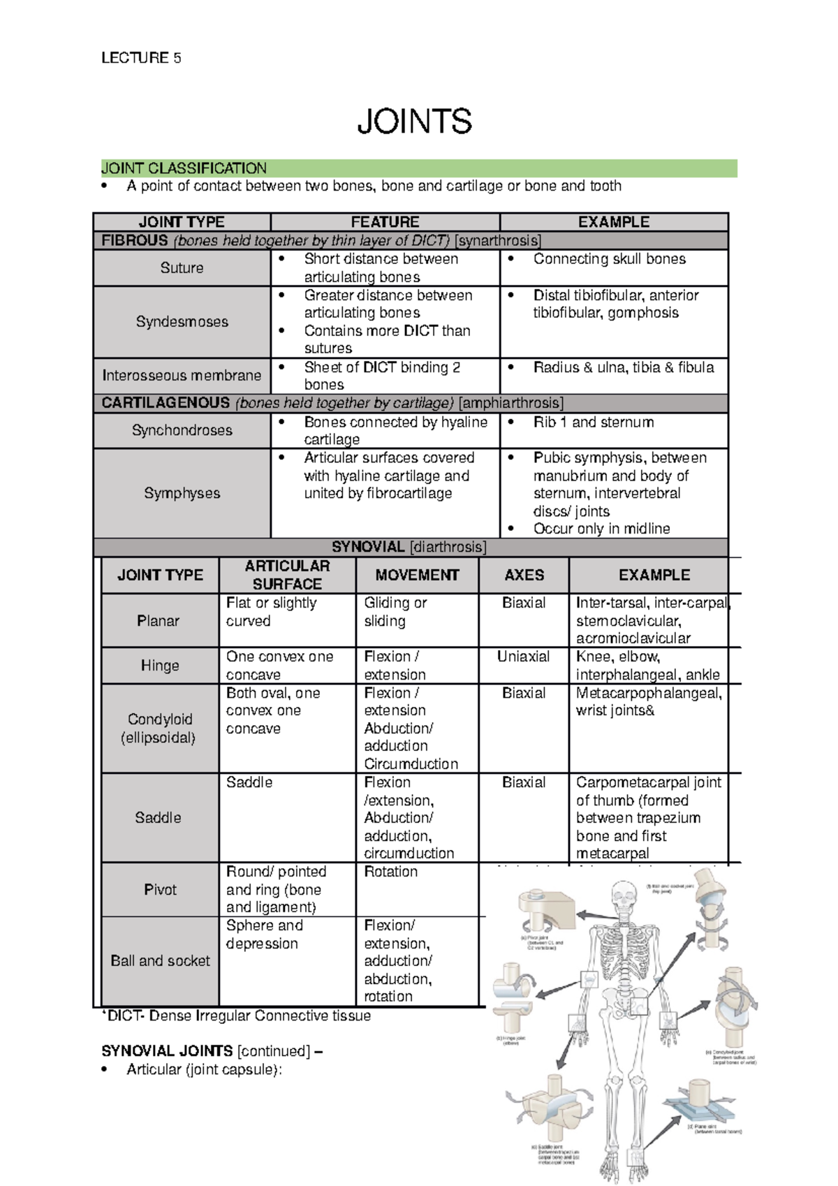 L5 - JOINTSssss - LECTURE 5 JOINTS JOINT CLASSIFICATION A point of ...