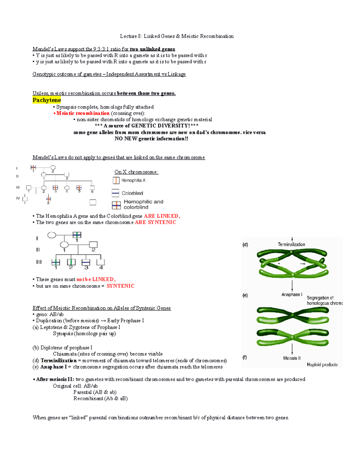 Lecture 8 notes - Mendelian and molecular genetics; mechanisms of ...