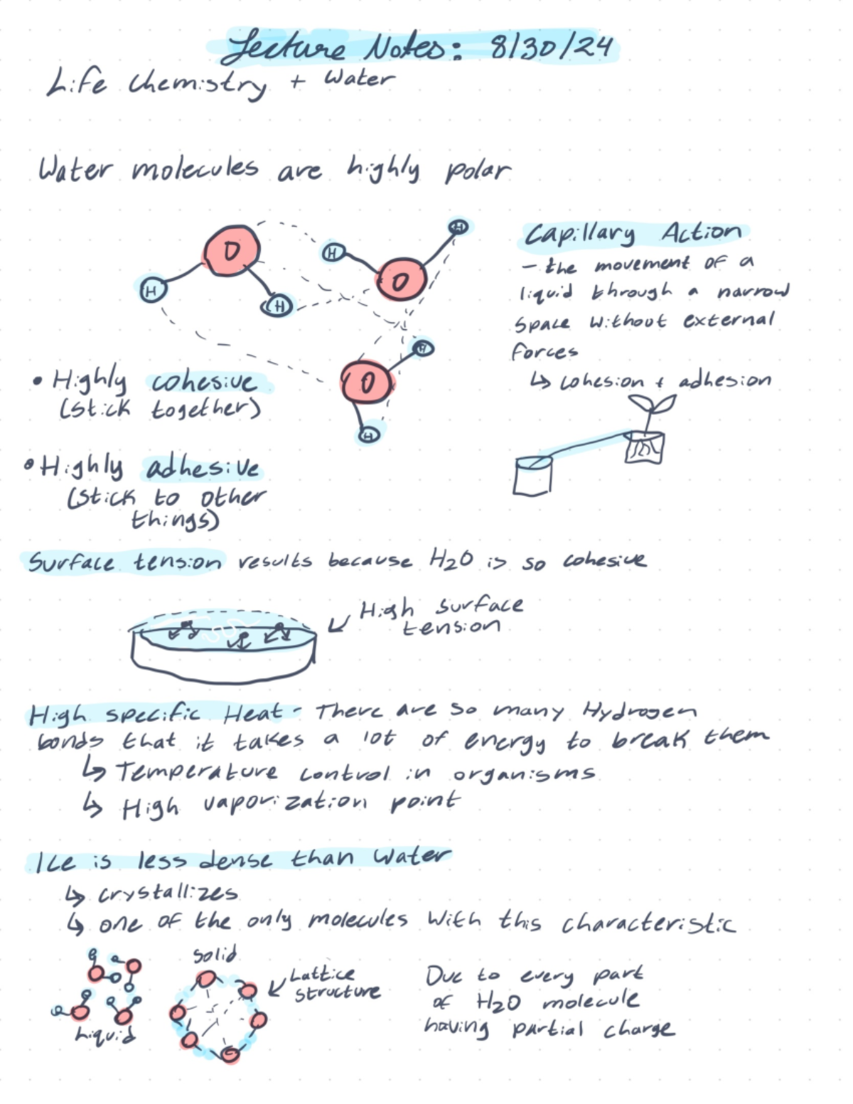 Biology Lecture 1 Notes - Lecture Notes: Life chemistry Water Water ...