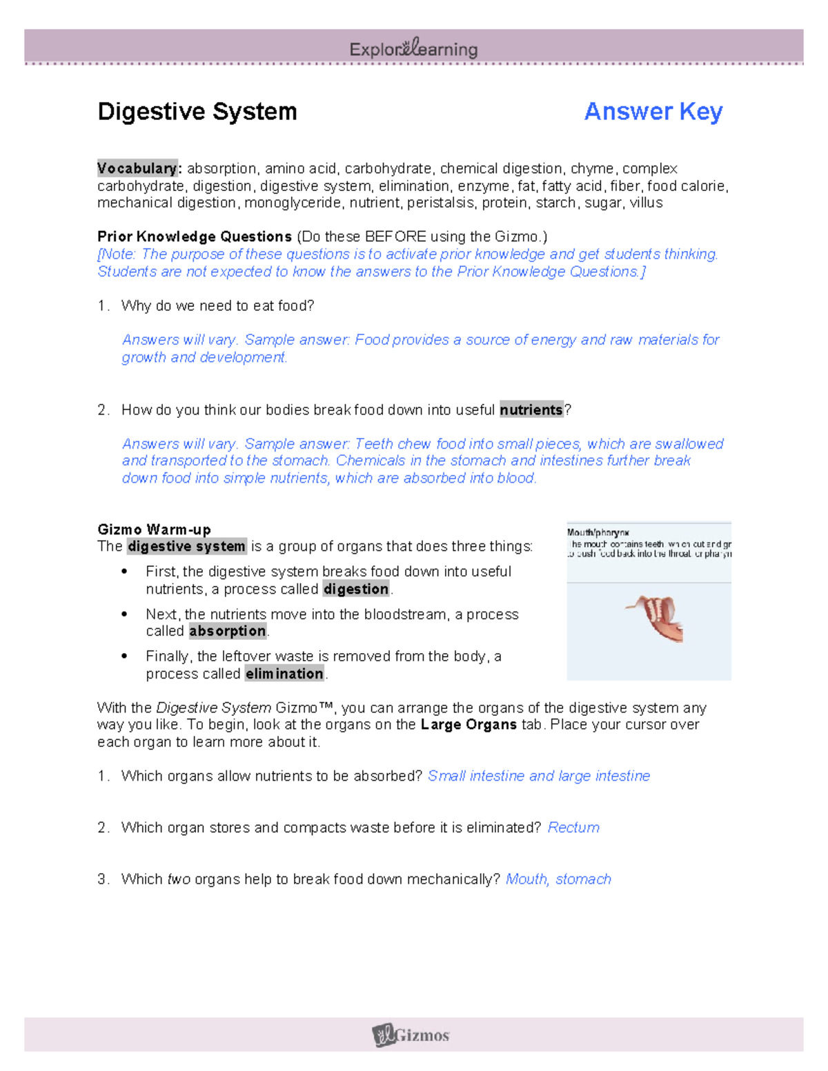 10 - Digestive System Gizmo answers - Digestive System Answer Key ...