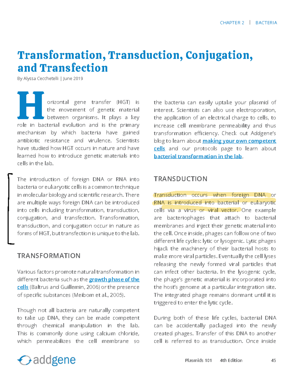 Plasmids 101 e Book ed4 1 Addgene - CHAPTER 2 | BACTERIA H ...