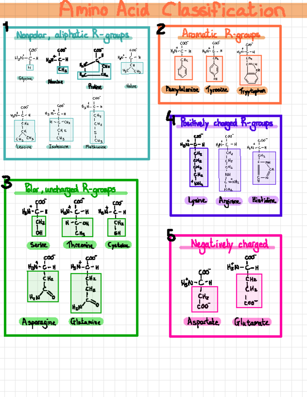 BCM251 - Amino Acid Classification 1 Nompolar, aliphatic R-groups 2 ...