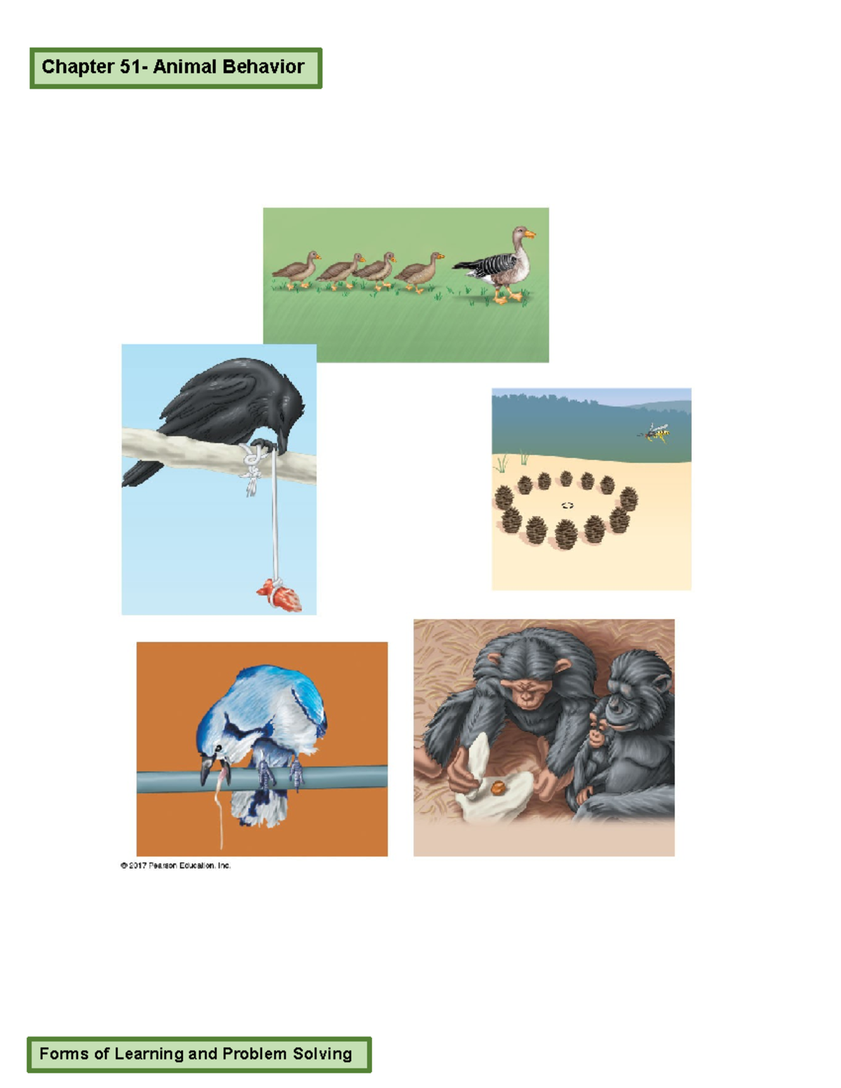 Chapter 51 Animal Behavior - BIO-182 - Chapter 51- Animal Behavior ...