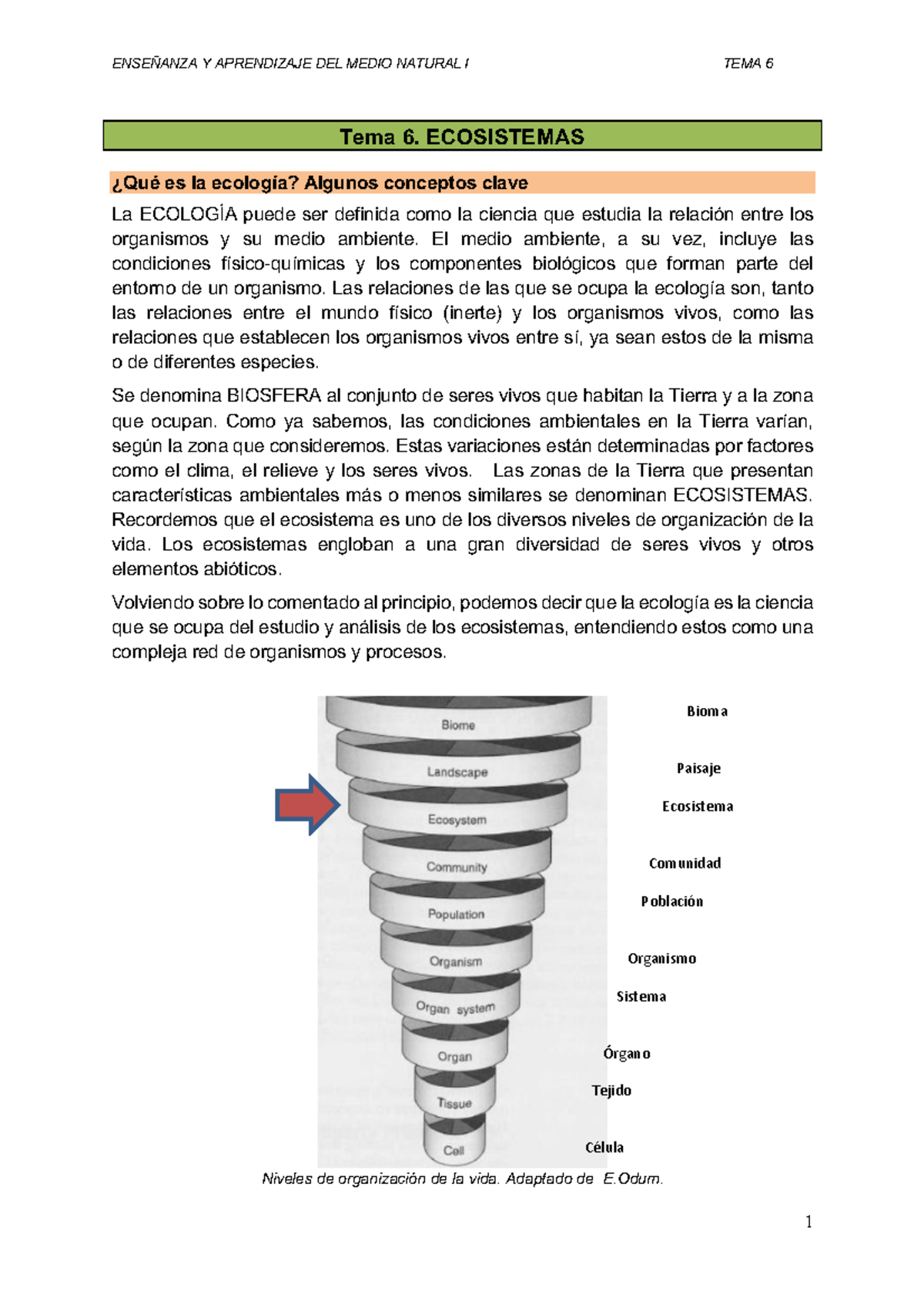 Doc T6 - APUNTES - Tema 6. ECOSISTEMAS ¿Qué es la ecología? Algunos ...