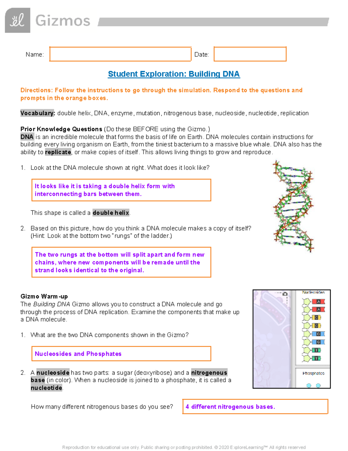 Building DNA: Structure Replication and Components - Studocu