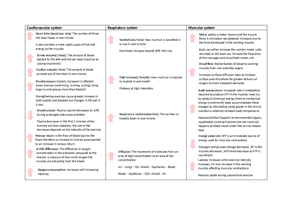 Acute response to physical activity - Cardiovascular system Respiratory ...