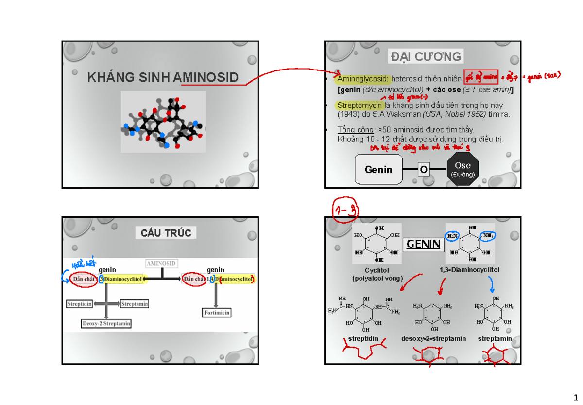 Att - Chúc may mắn - KHÁNG SINH AMINOSID Aminoglycosid: heterosid thiên ...