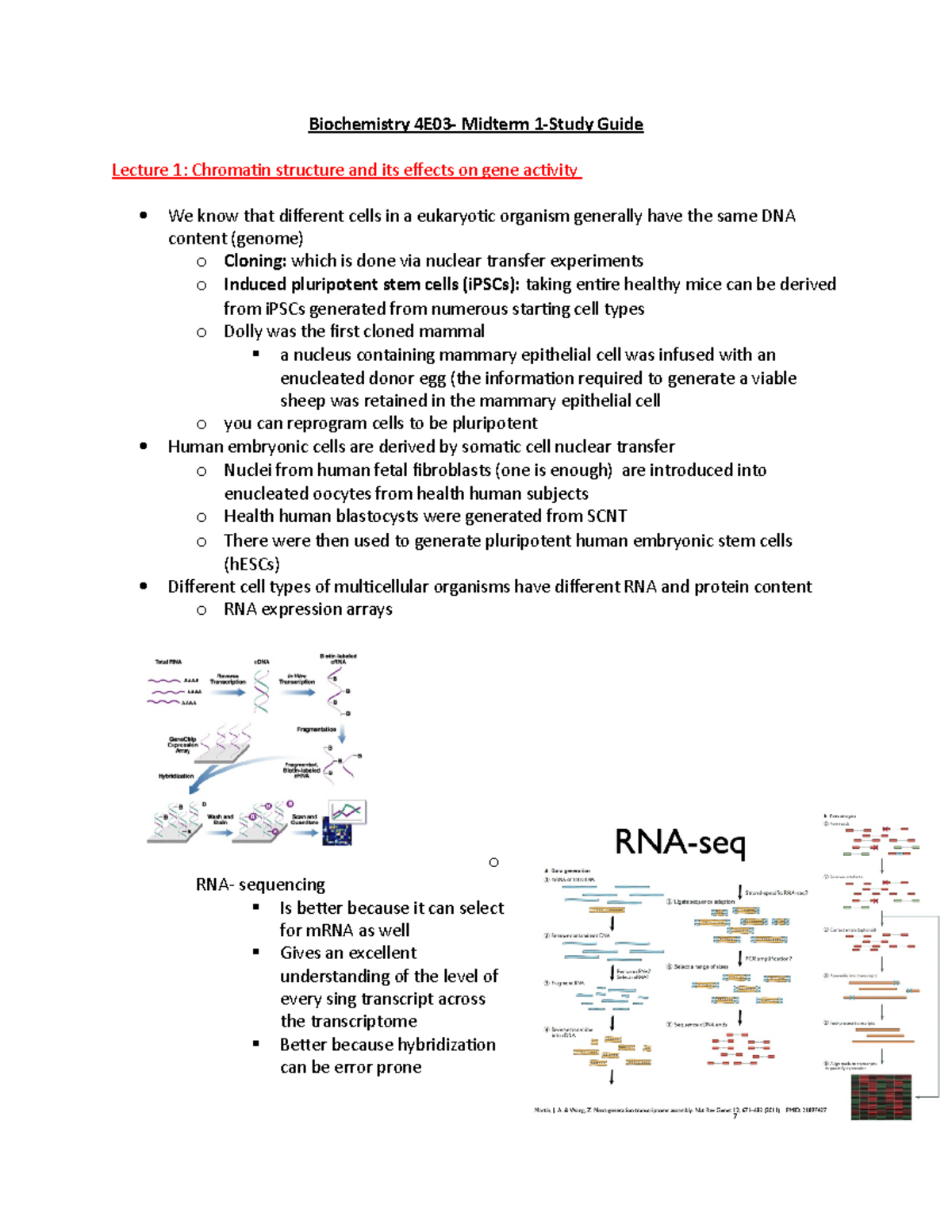 Biochemistry 4E03 - Notes for the first midterm - Biochemistry 4E03 ...
