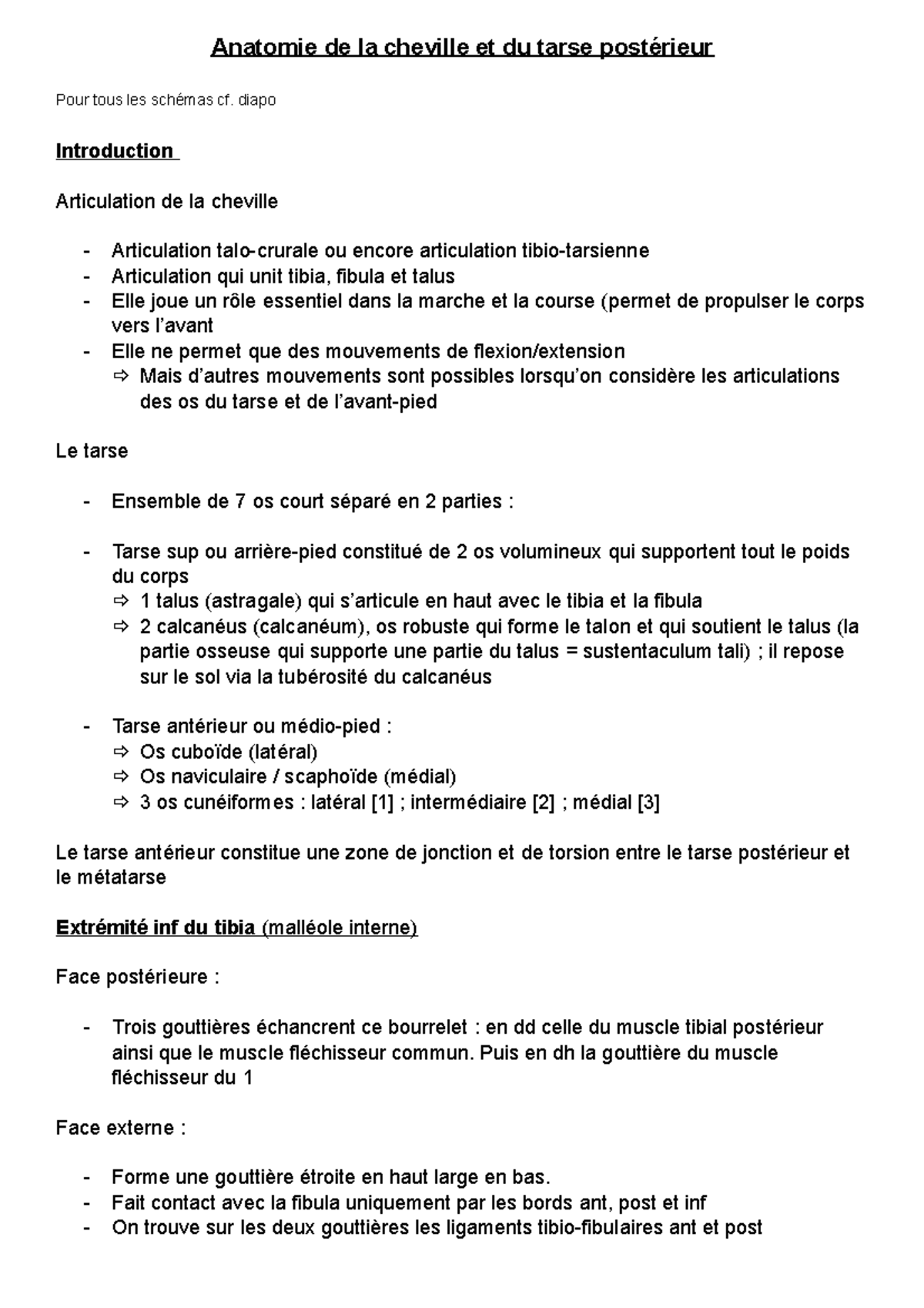 Anatomie de la cheville et du tarse postérieur - Studocu