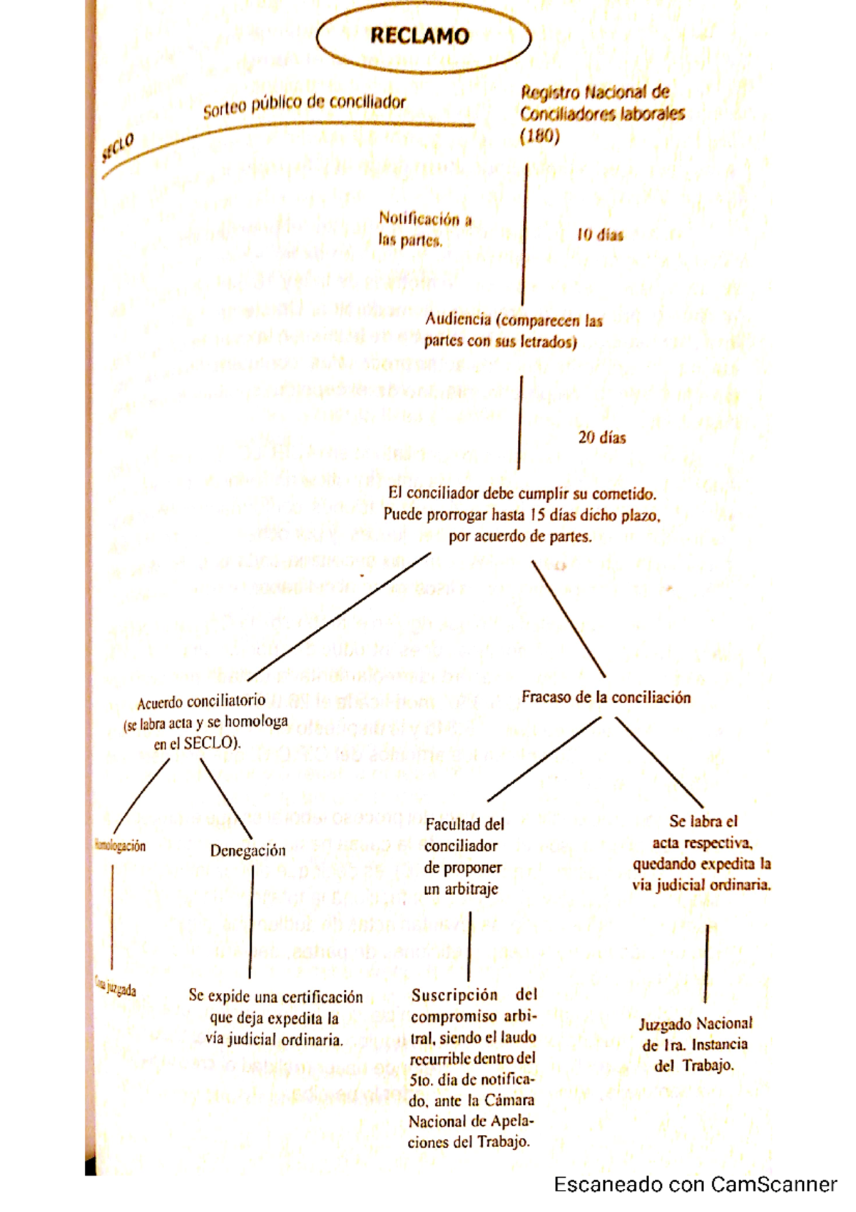 Seclo y procedimiento laboral - Derecho Laboral - Studocu