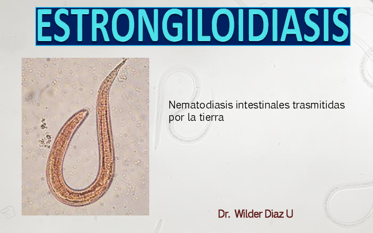 2 Estrongiloidiasis 2023 - Dr. Wilder Diaz U Nematodiasis intestinales ...