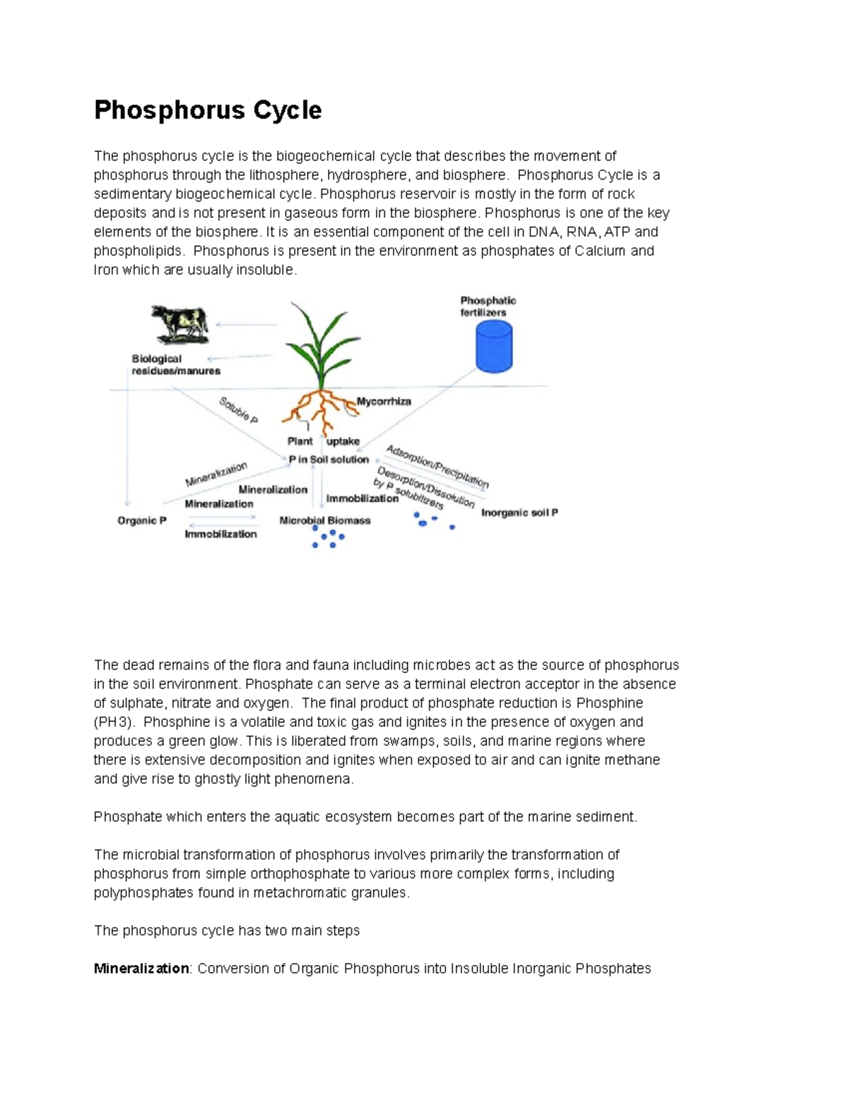 Phosphorus Cycle - Phosphorus Cycle The phosphorus cycle is the ...