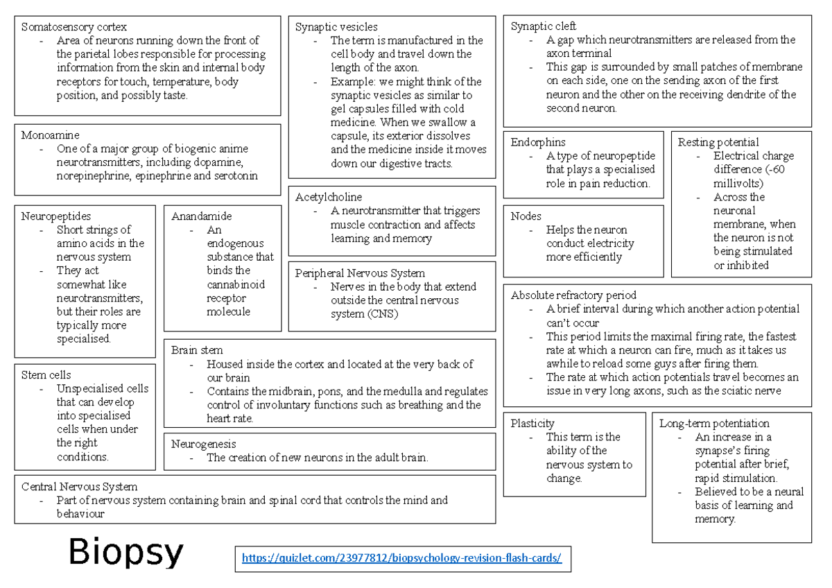 Quizlet biopsych revision 3 - quizlet/23977812/biopsychology-revision ...