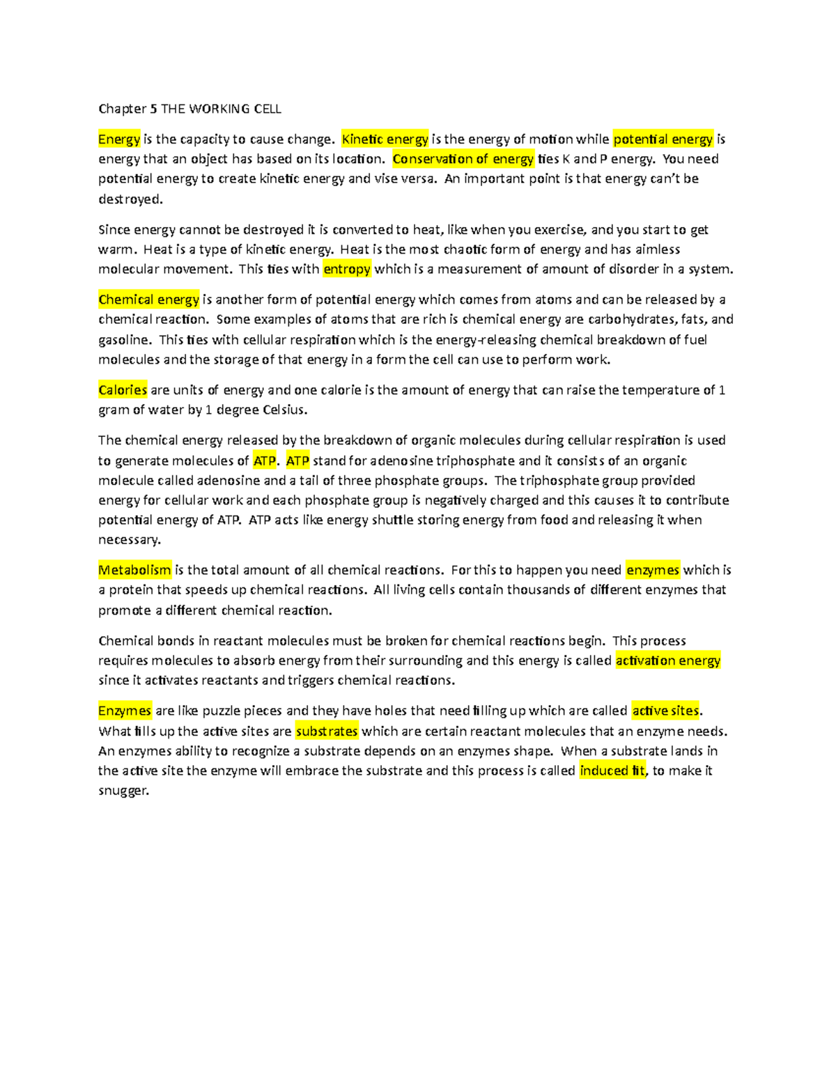 Chapter 5 THE Working CELL - Chapter 5 THE WORKING CELL Energy is the ...