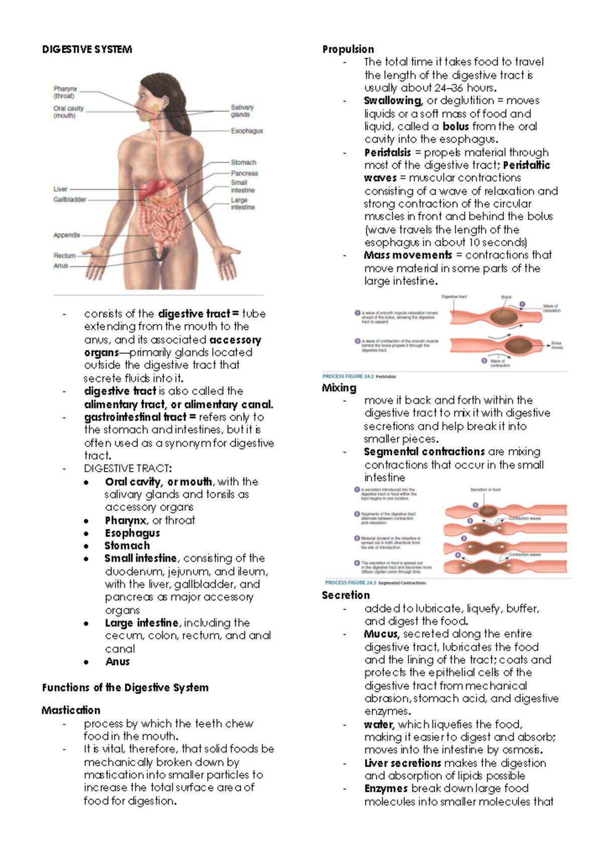 ANATOMY AND PHYSIOLOGY - Digestive System - DIGESTIVE SYSTEM consists ...