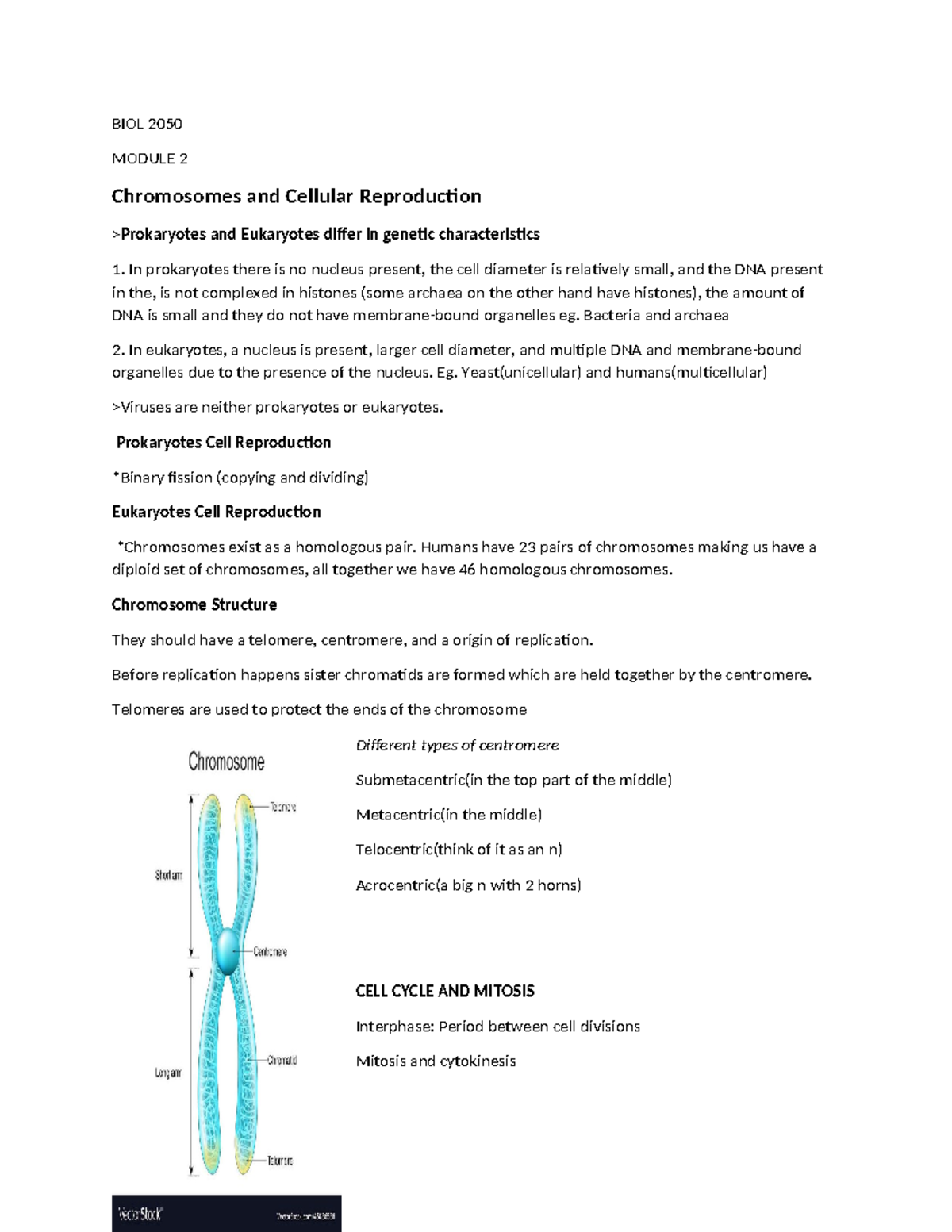 Biol 2050 Biol 2050 Module 2 Chromosomes And Cellular Reproduction Prokaryotes And Eukaryotes