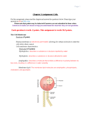 BIO 201 Chapter 3 Cells assignment OPS - Chapter 3 Assignment-Cells For ...