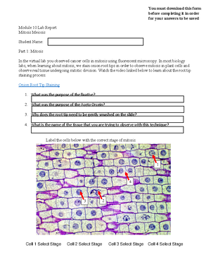Bacterial-Identification-Lab-Worksheet-Student 2 - Bacterial ...