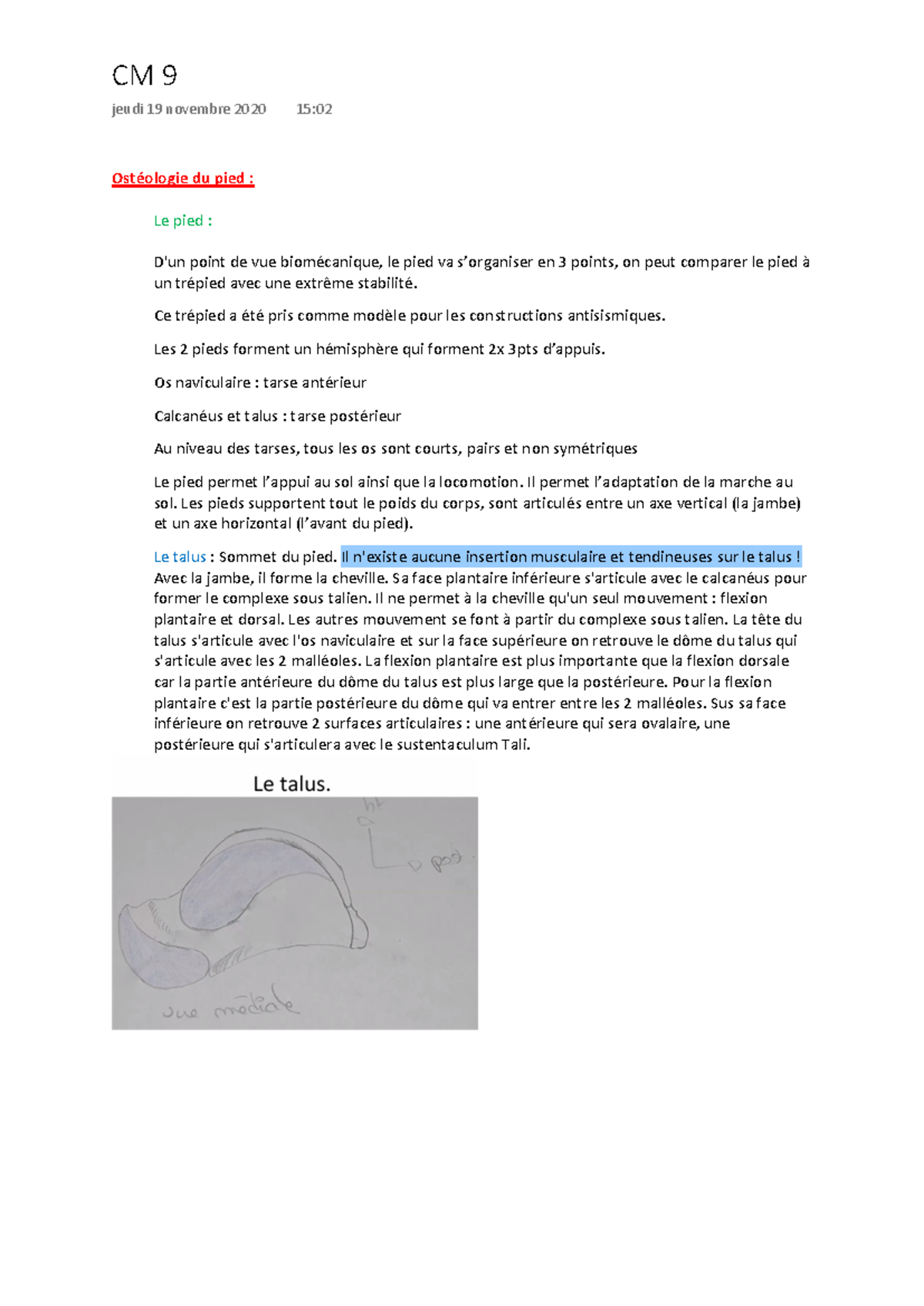 CM9 Anatomie - Notes de cours 9 - KƐƚĠŽůŽŐŝĞ ĚƵ ƉŝĞĚ ͗ Ğ ƉŝĞĚ ͗ - Studocu