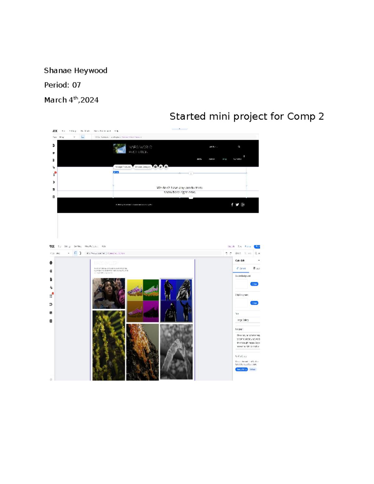 Mini project - revise - MCB2010 - Shanae Heywood Period: 07 March 4th ...