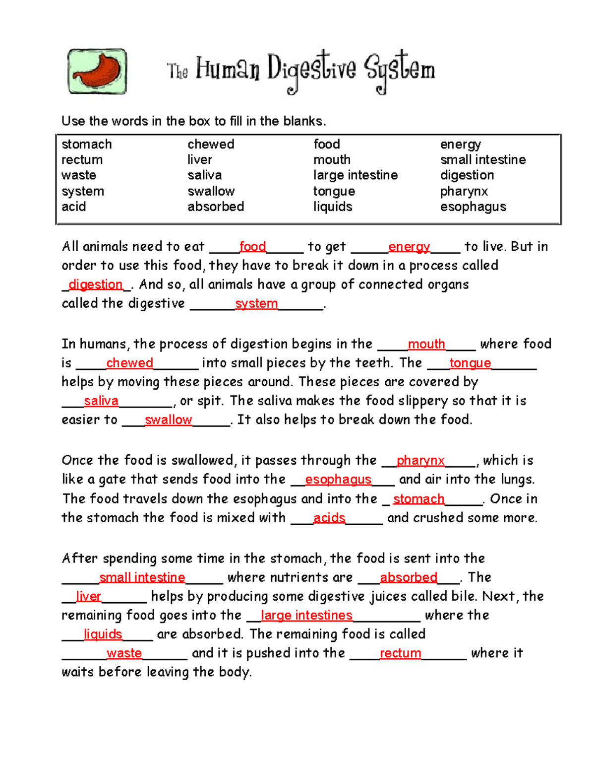 416501526 Digestive System Quiz - Use the words in the box to fill in ...