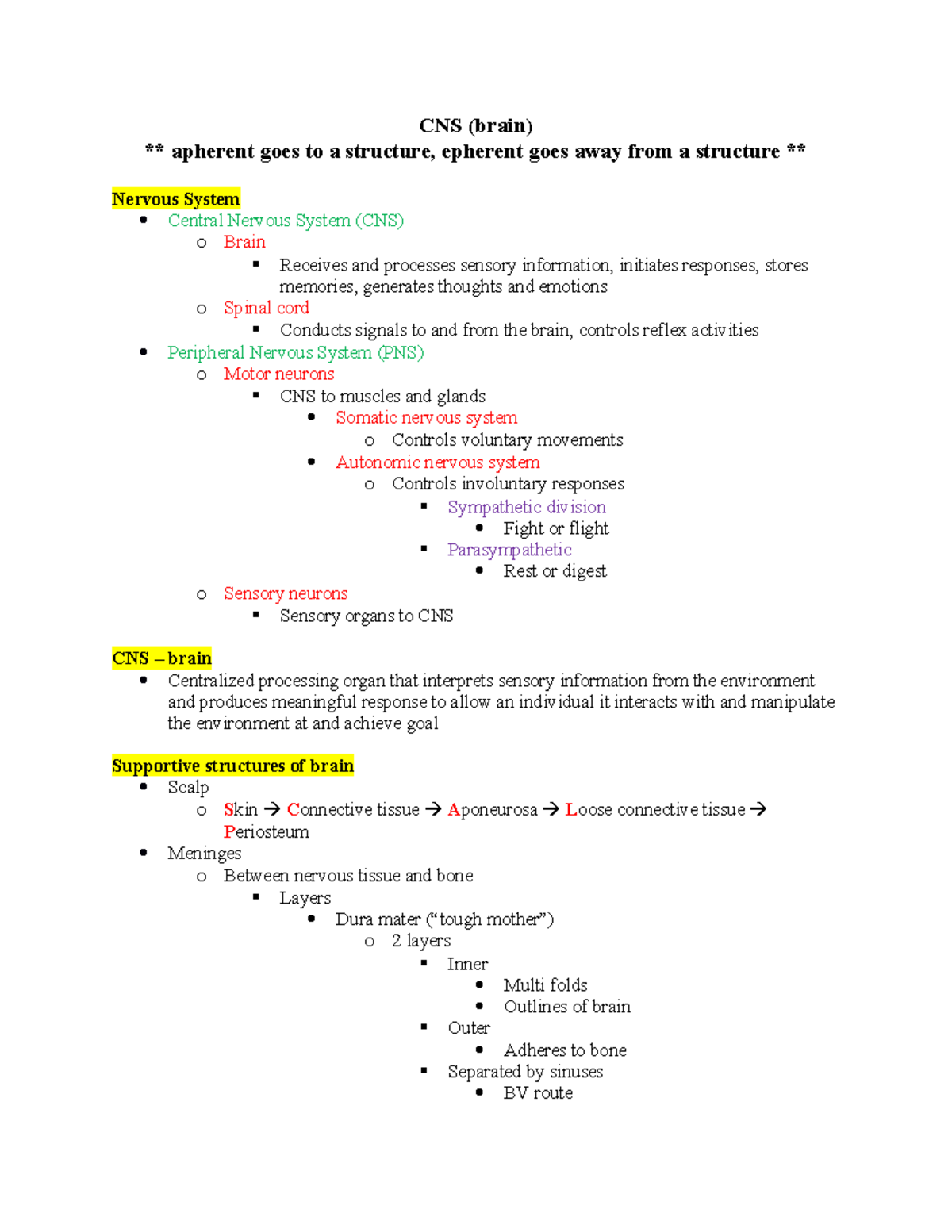 Central Nervous System - Studocu