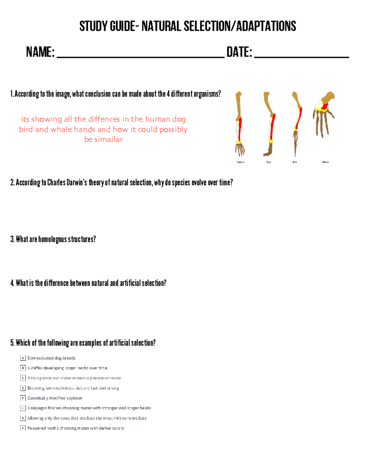 Natural Selection Study Guide - Study Guide- Natural Selection ...