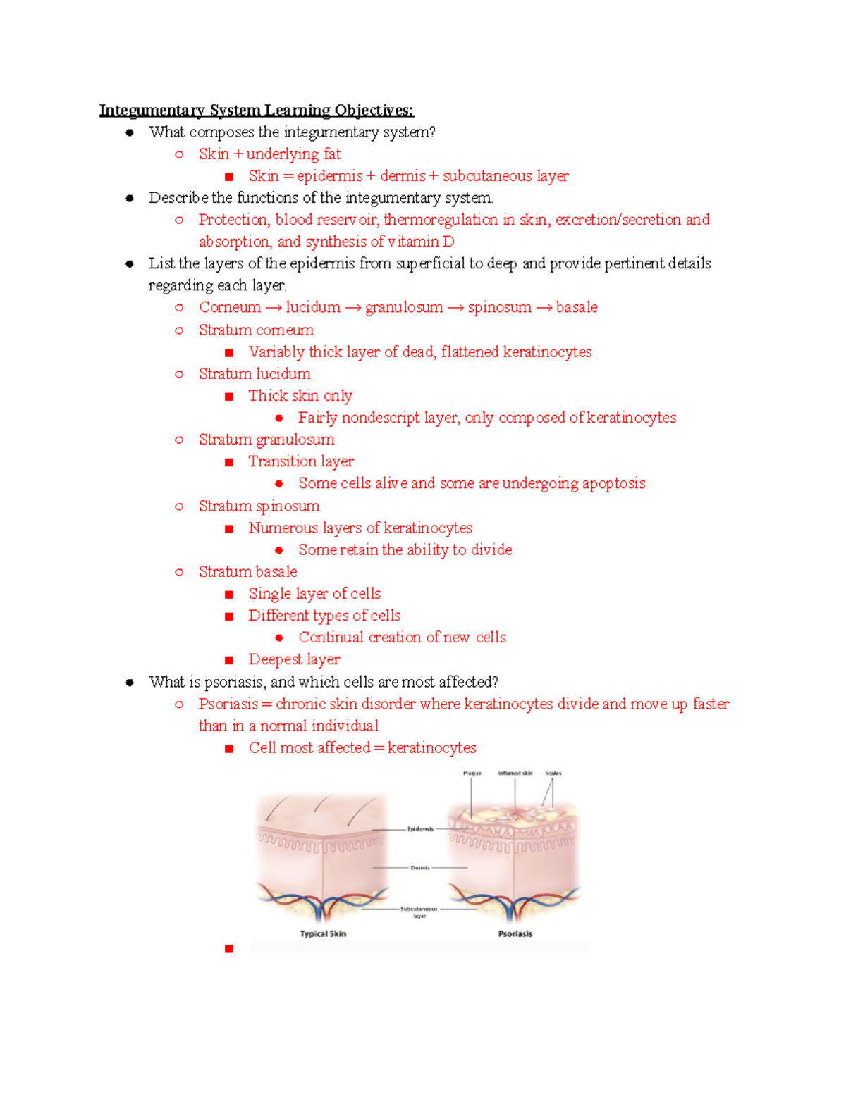 Anatomy 303 Integumentary & Musculoskeletal Learning Objectives ...
