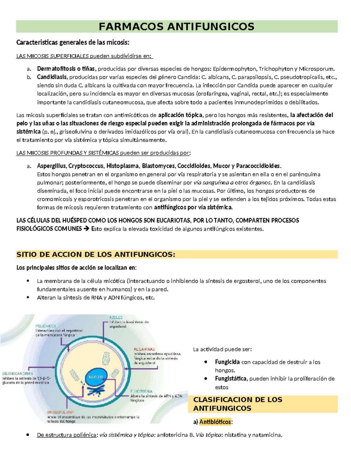 Farmacos Antifungicos - FARMACOS ANTIFUNGICOS Caracteristicas generales ...