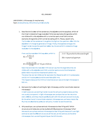 ACT Stem cells ME - actividad para entender las células madre ...
