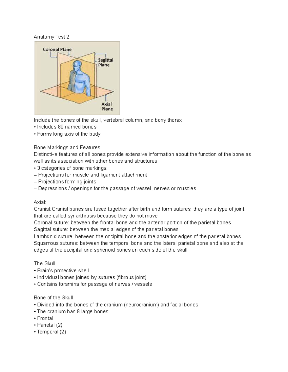 Anatomy Test Notes for Review on Lecture 2-3 - Anatomy Test 2: Include ...