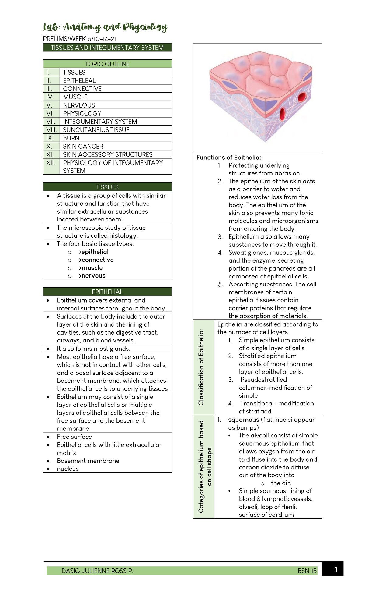 02 - Tissues AND Integumentary System - PRELIMS/WEEK 5/10-14- TISSUES ...