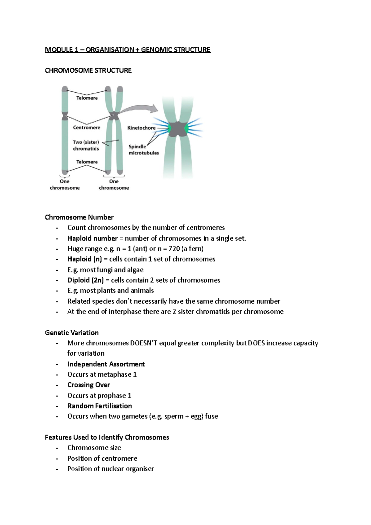 202 Test Notes - MODULE 1 – ORGANISATION + GENOMIC STRUCTURE CHROMOSOME ...