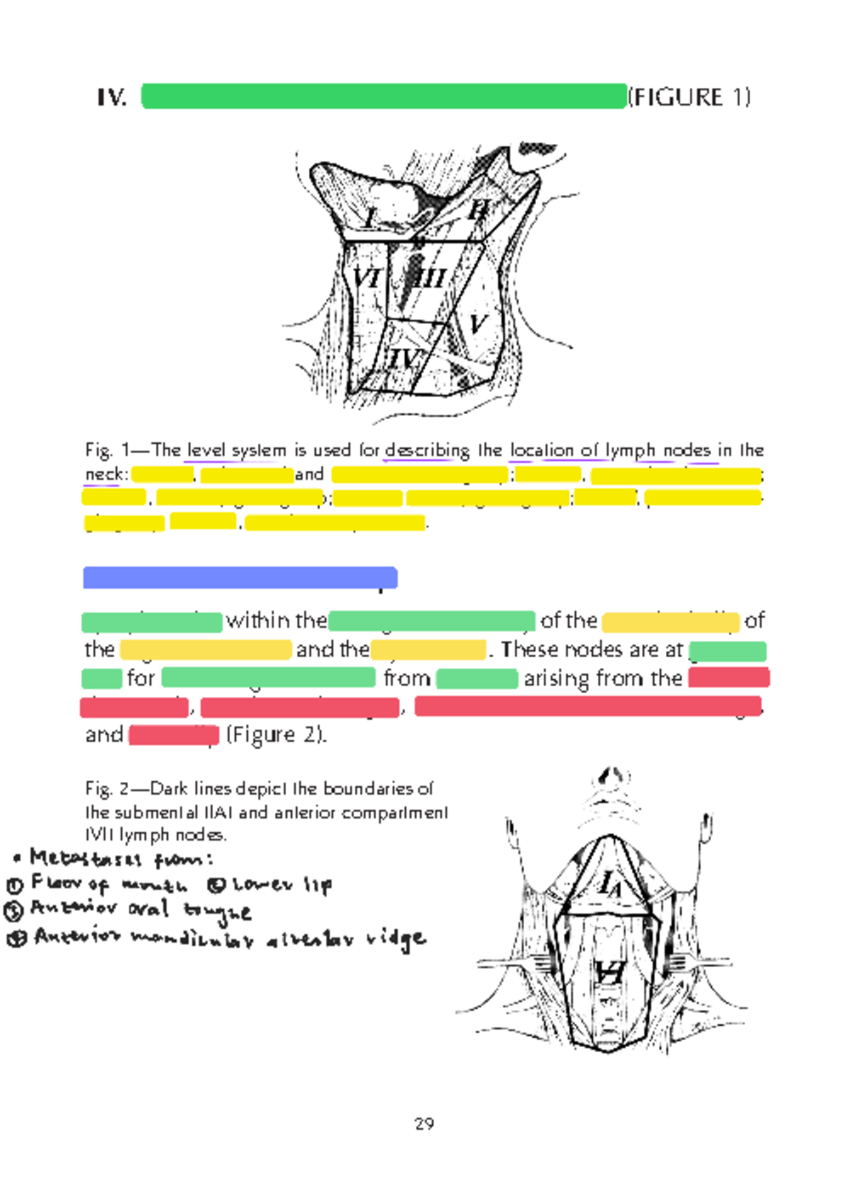 Neck Dissection Part 2 - Nice - IV. DEFINITION OF LYMPH NODE GROUPS ...