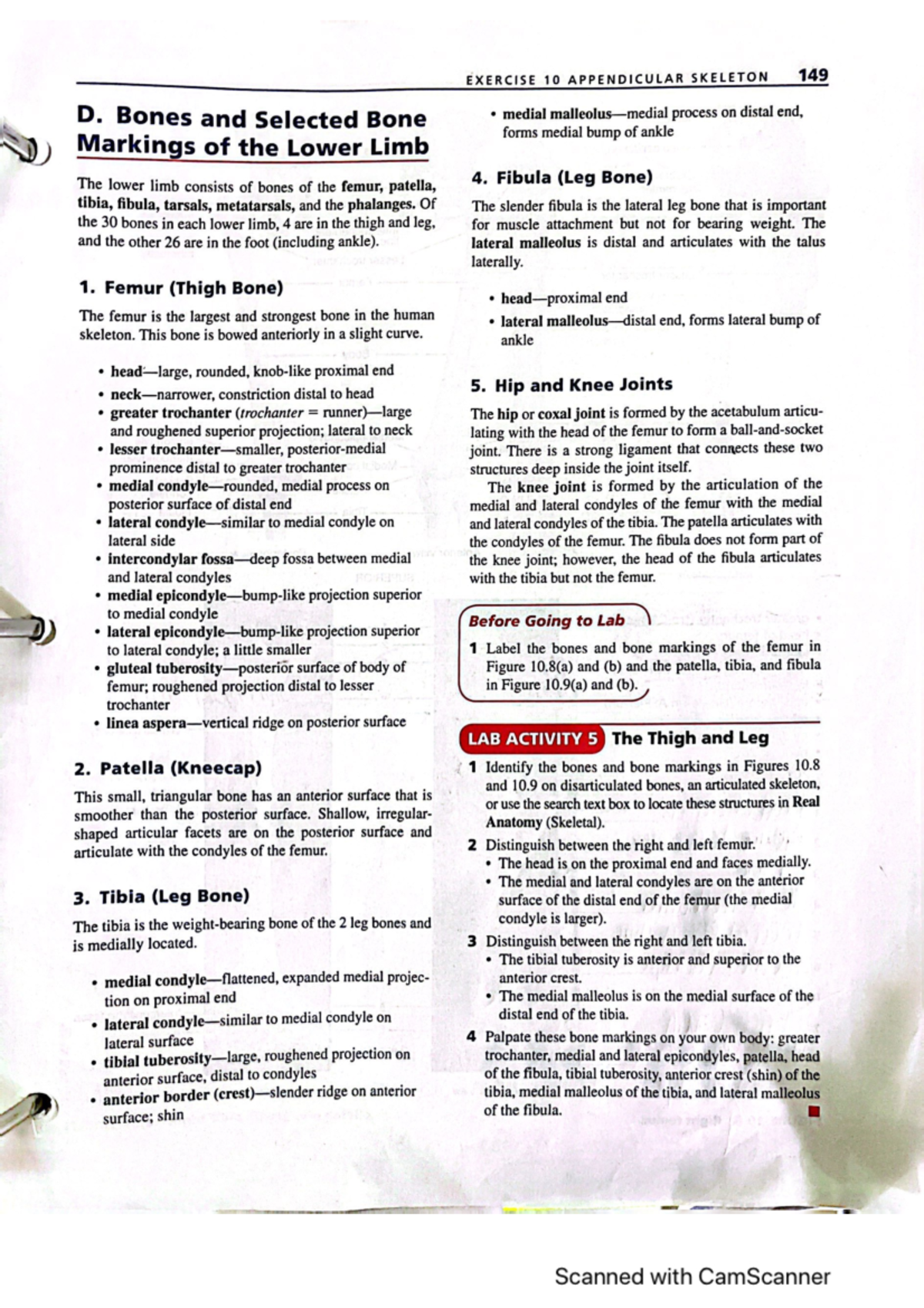 Biol Appendicular Skeleton 2 - EXERCISE 10 APPENDICULAR SKELETON 149 D ...