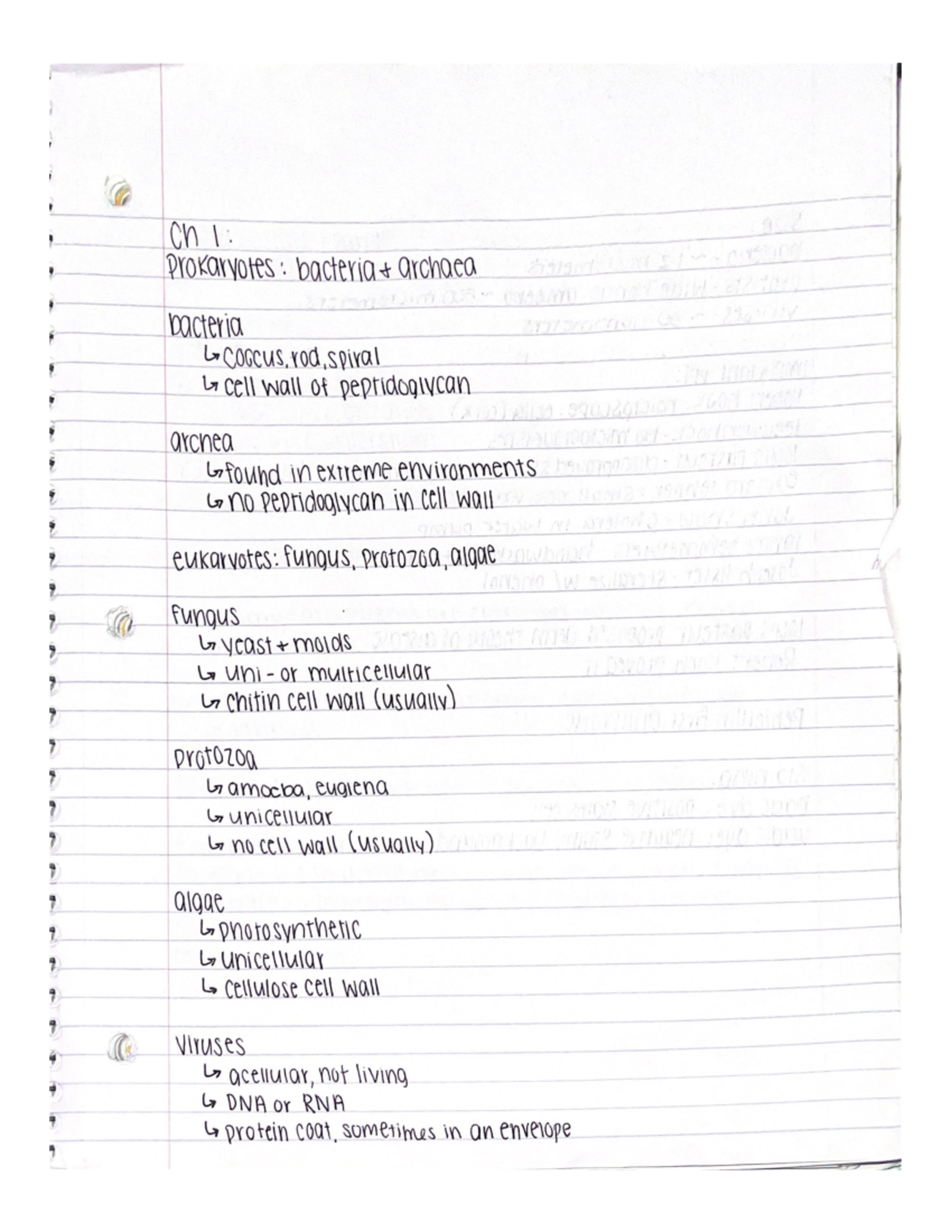 Microbiology exam 1 study guide - BIOL 219 - Studocu