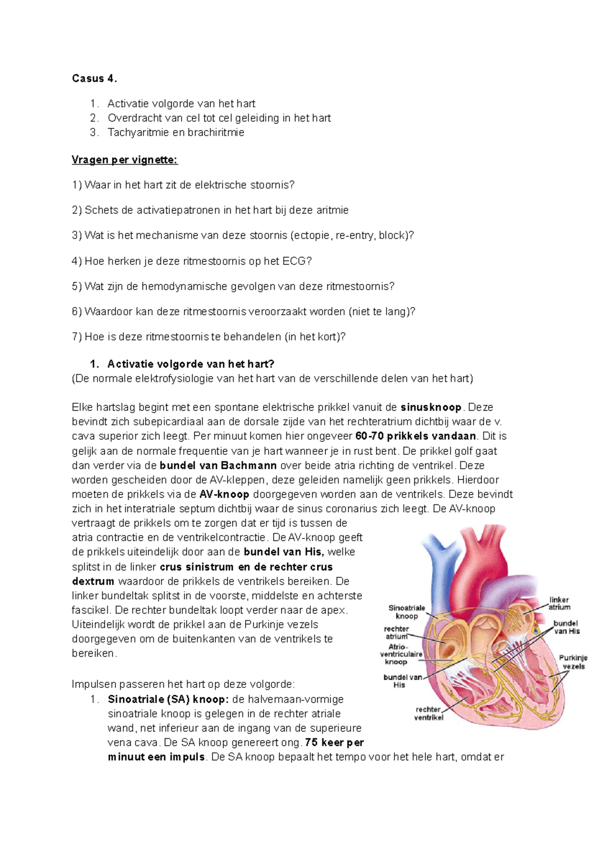 Casus 4 - Casus 4. Activatie volgorde van het hart Overdracht van cel ...