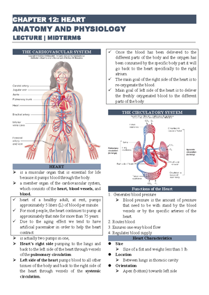 Chapter-9 Sensory-System - ANATOMY AND PHYSIOLOGY REVIEWER SENSES Sense ...