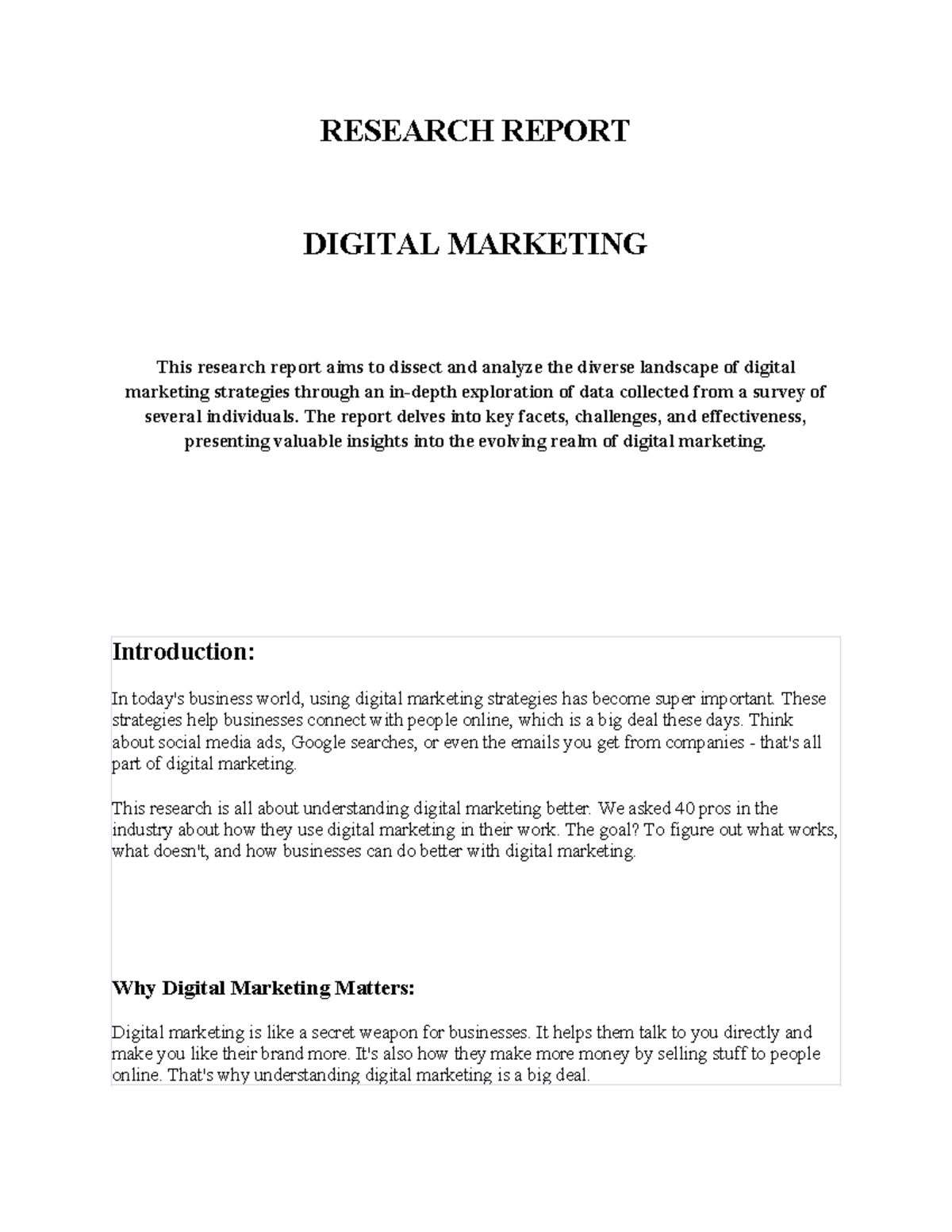 Research Report - RESEARCH REPORT DIGITAL MARKETING This research ...