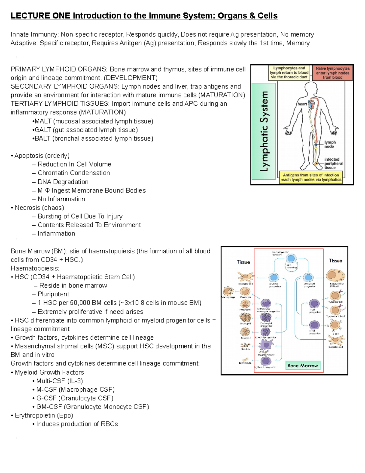 Immunology Summaries - Lecture notes All - LECTURE ONE Introduction to ...