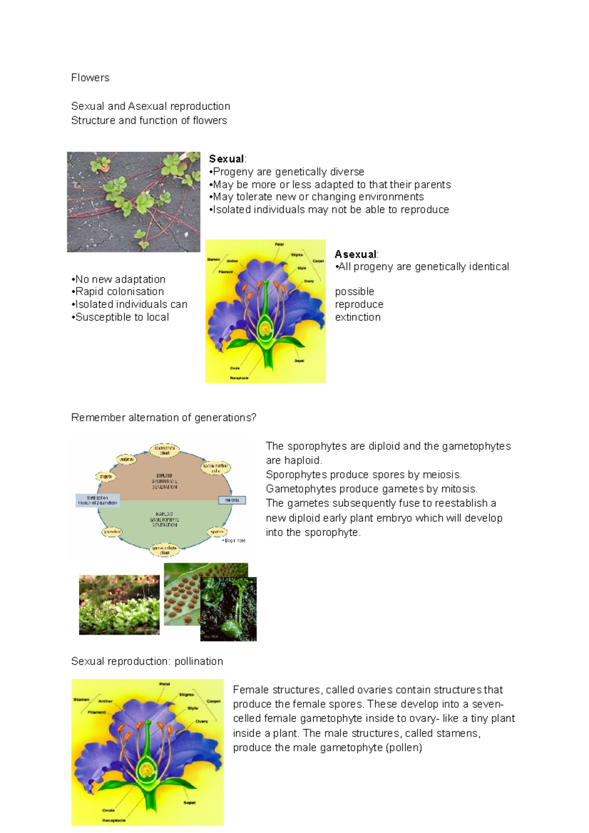 4. structure of flowers - Flowers Sexual and Asexual reproduction ...