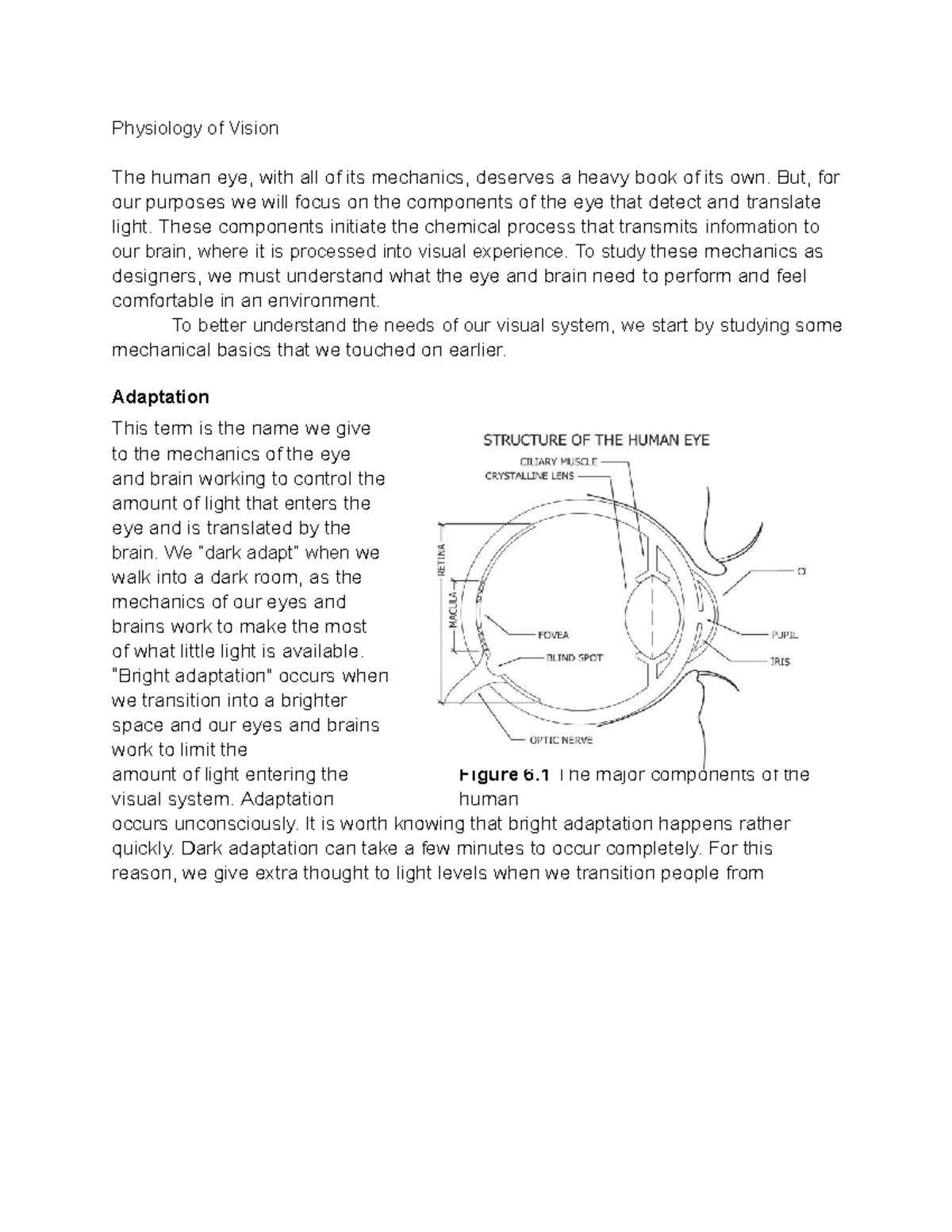 Physiology of Vision - While looking at an object, light rays from that ...