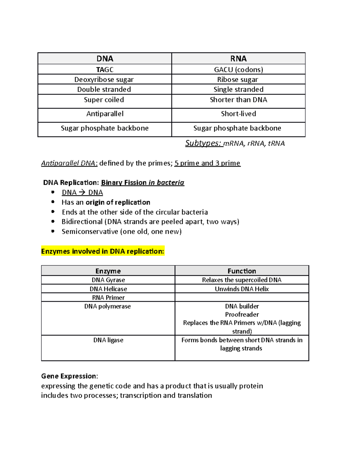 DNA Processes - Professor K. Gard - DNA RNA TAGC Deoxyribose sugar ...