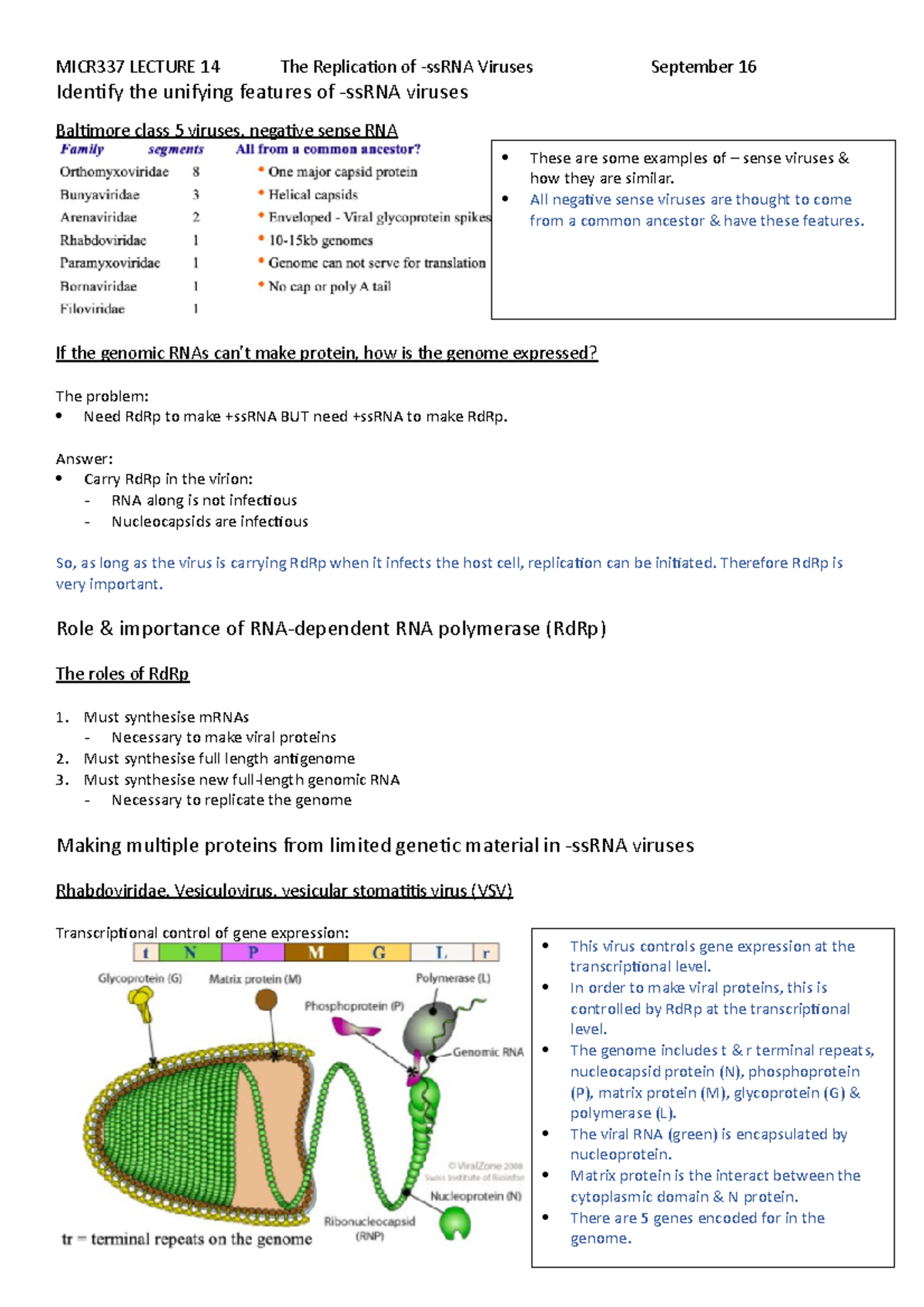 L14 - Lecture notes 14 - Identify the unifying features of -ssRNA ...